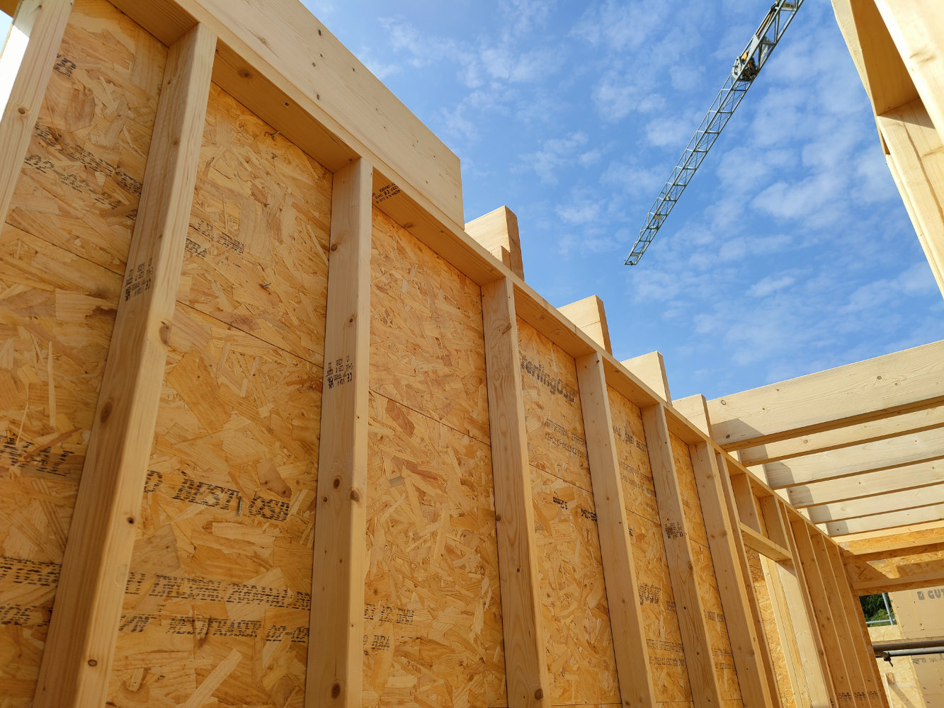 Houtskeletbouw | ECO architecten